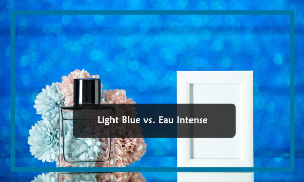 Light Blue vs. Eau Intense Cologne Comparison -My Custom Scent